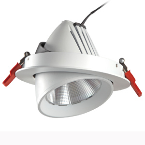 24W Bridgelux COB LED Trunk Light downlight24W-Bridgelux-COB-LED-Trunk ...
